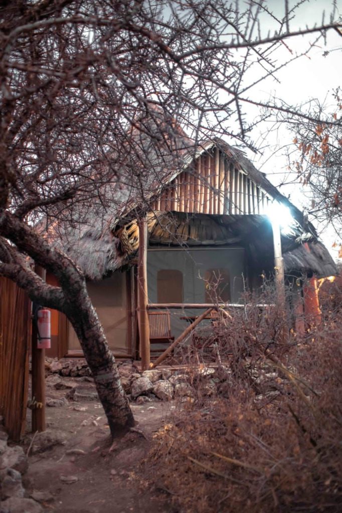 Rift Valley Lodge – The Best Safari Lodge